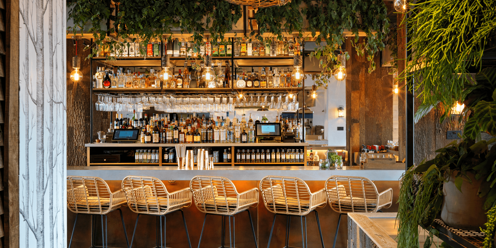 Madera Mexican Restaurant Marylebone | Treehouse Hotel London